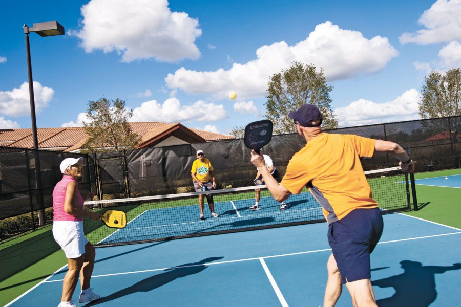 Why Pickleball Practice Equipment is Important - Král motorů